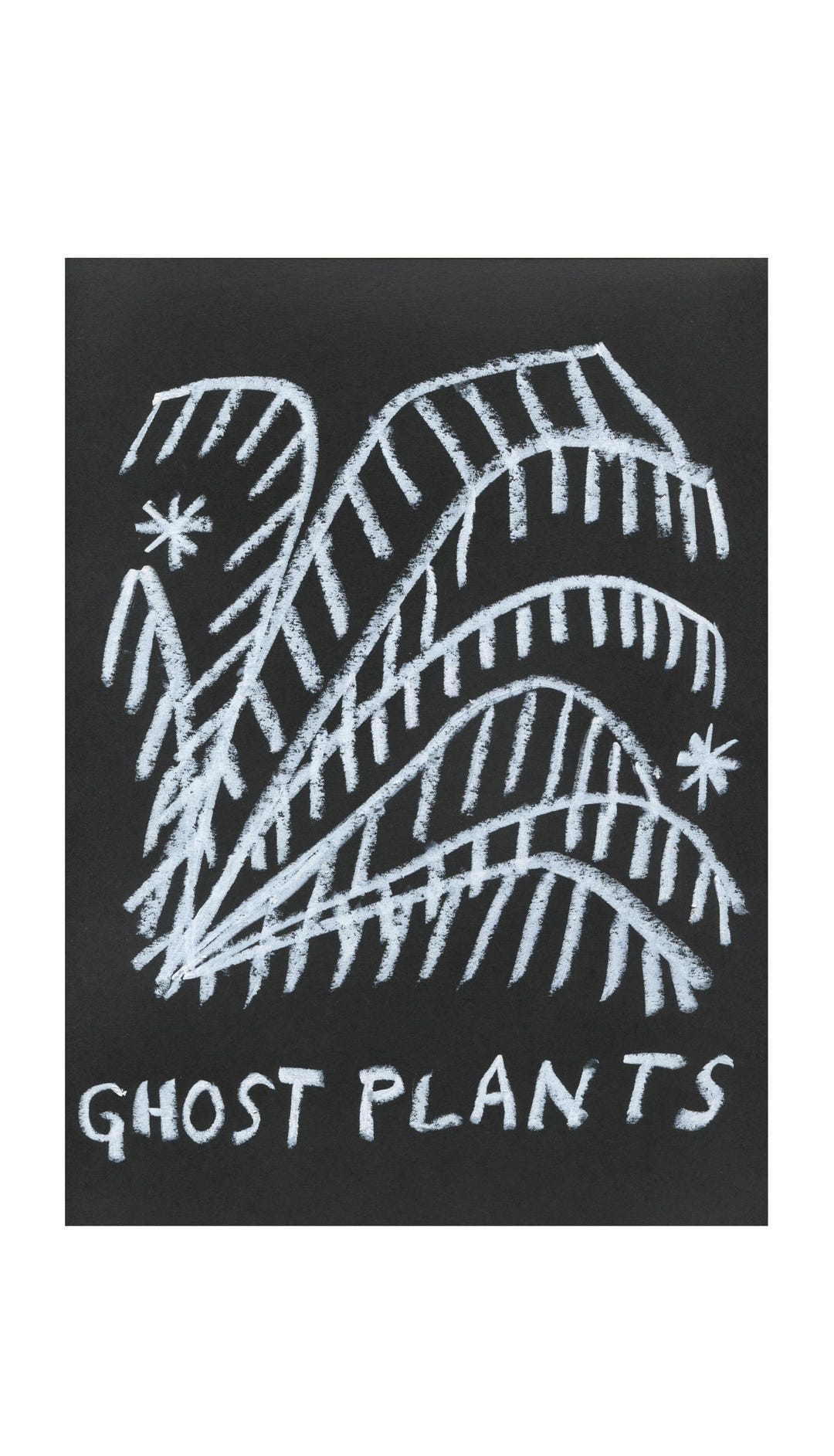 Ghost Plants 3 - Original Drawing - Etsy