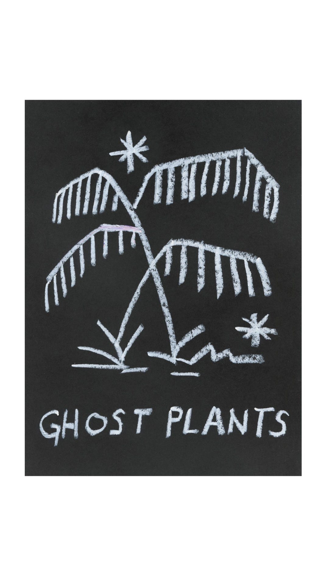 Ghost Plants 1 - Original Drawing - Etsy