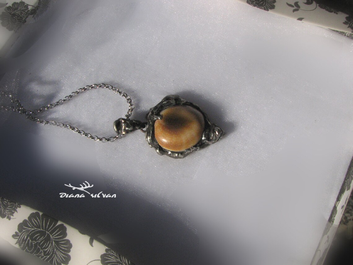 Operculum Pendant, Natural Operculum Shamanic Protective Amulet, Tribal ...