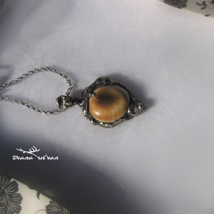 Operculum Pendant, Natural Operculum Shamanic Protective Amulet, Tribal ...