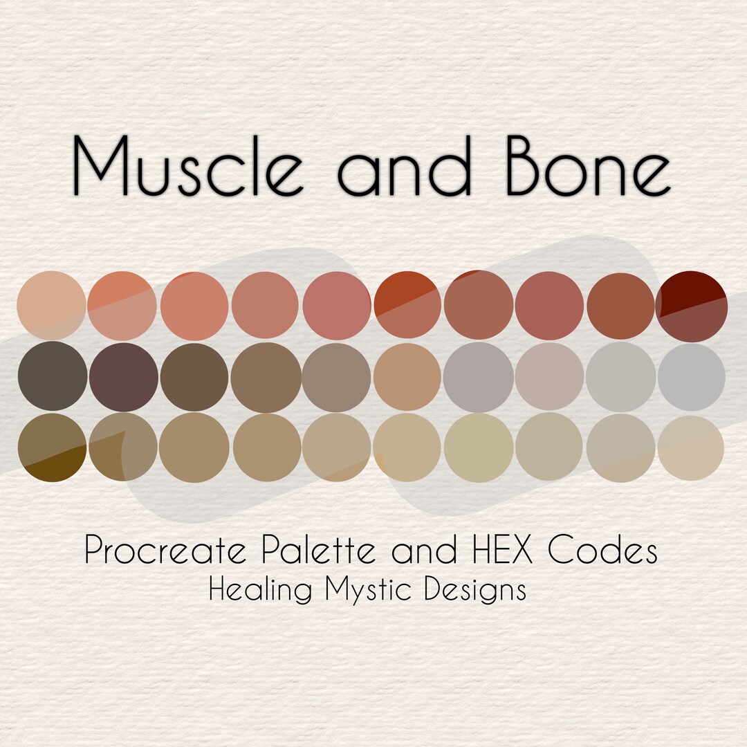 Muscle and Bone Procreate Palette, Procreate Color Palette, Procreate ...
