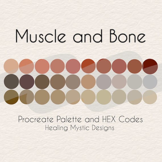 Muscle and Bone Procreate Palette Procreate Color Palette - Etsy