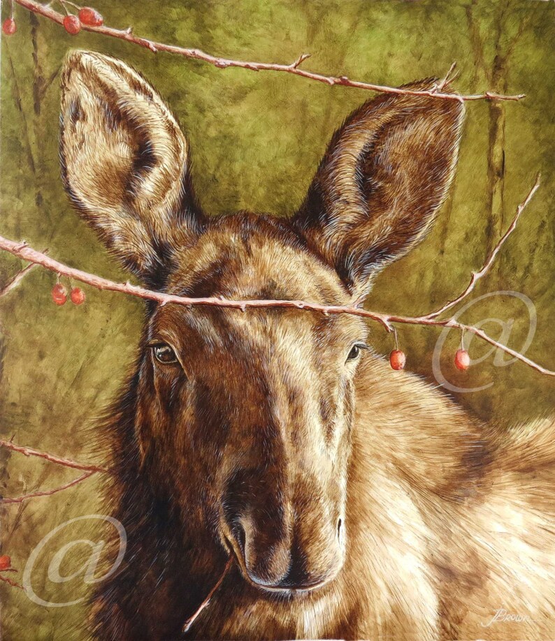 Original Oil Painting, Moose, Wildlife, Animal, Fine Art, Nature ...
