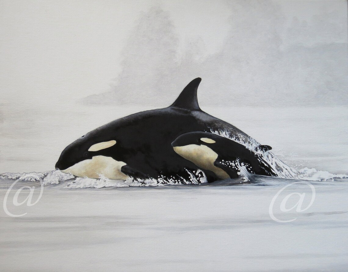 Original, Oil, Painting, Orca, Killer Whale, Sealife, Seascape, Marine ...