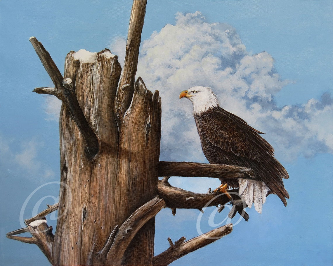 Original Oil Painting, Eagle, Bald Eagle, Canvas, Raptor, Nature, Bird ...