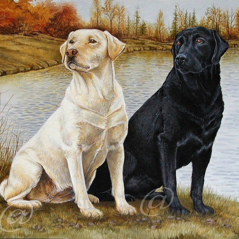 Hunting Dog Painting - Etsy
