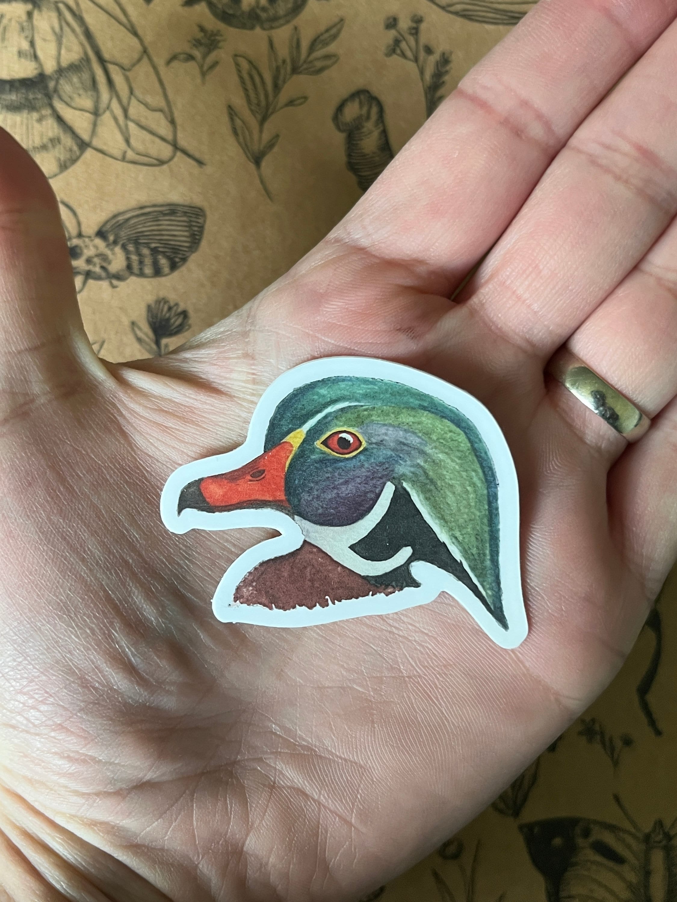 Watercolor Male Wood Duck Sticker - Etsy