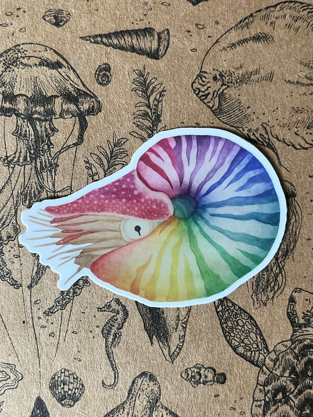 Watercolor Nautilus Sticker - Etsy