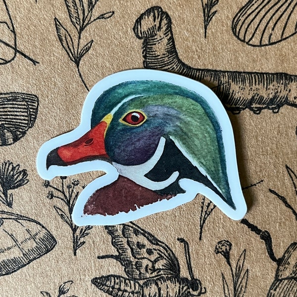 Male Wood Duck - Etsy