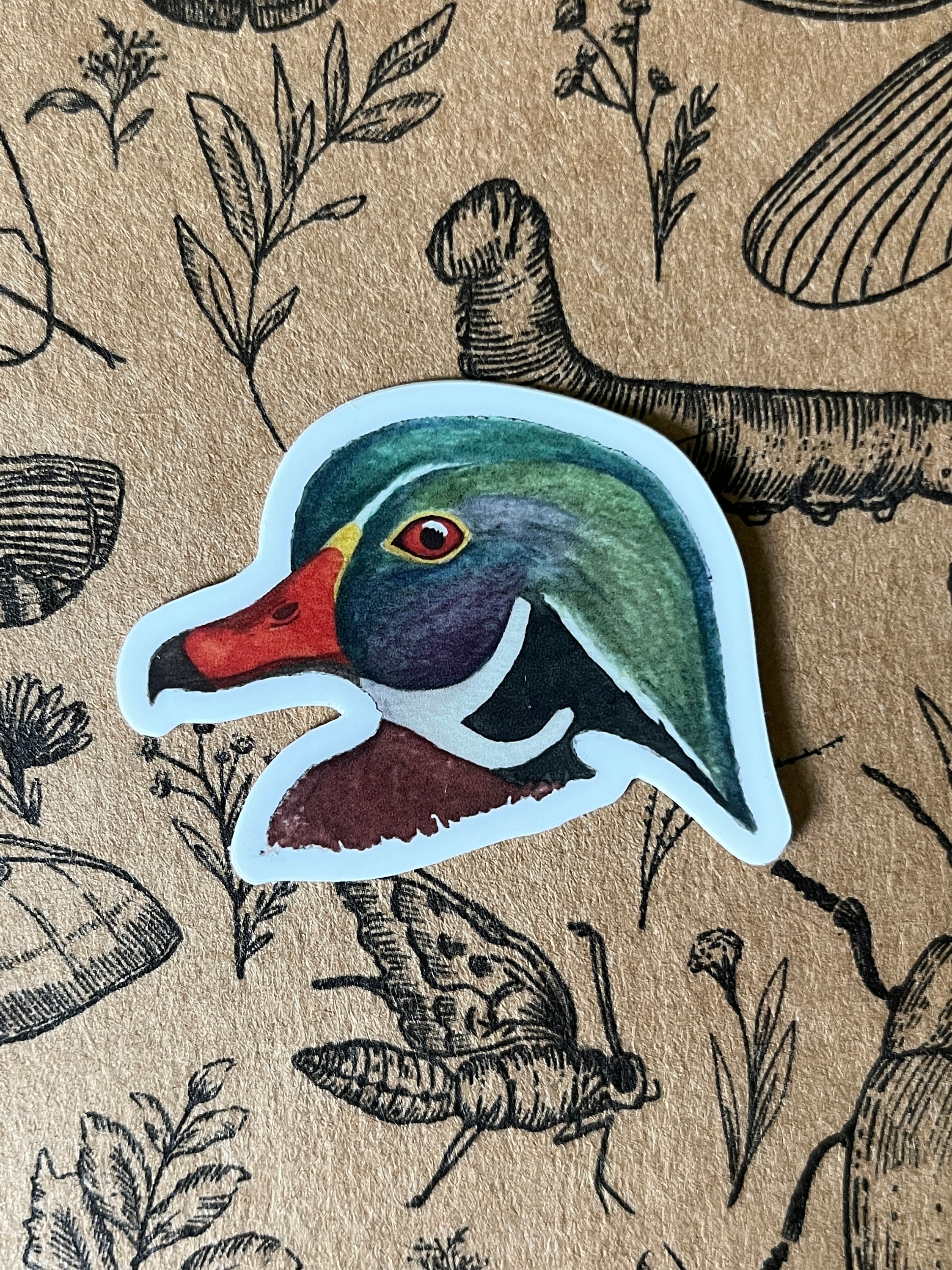 Watercolor Male Wood Duck Sticker - Etsy