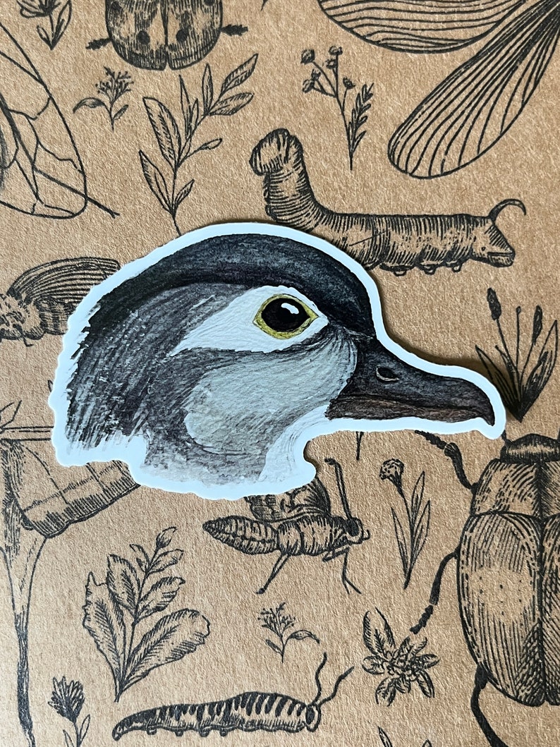 Female Wood Duck Sticker - Etsy