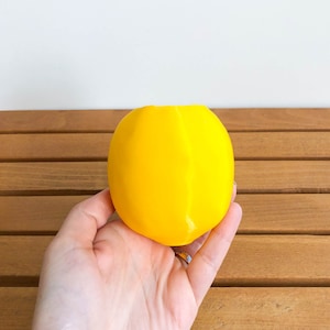 Lemon Shaped Yellow Unique Indoor Planter - Lemon Succulent Pot - Hand ...