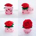 Pokemon Inspired Valentine Gift Bulbarose Rose Bulbasaur Cute ...