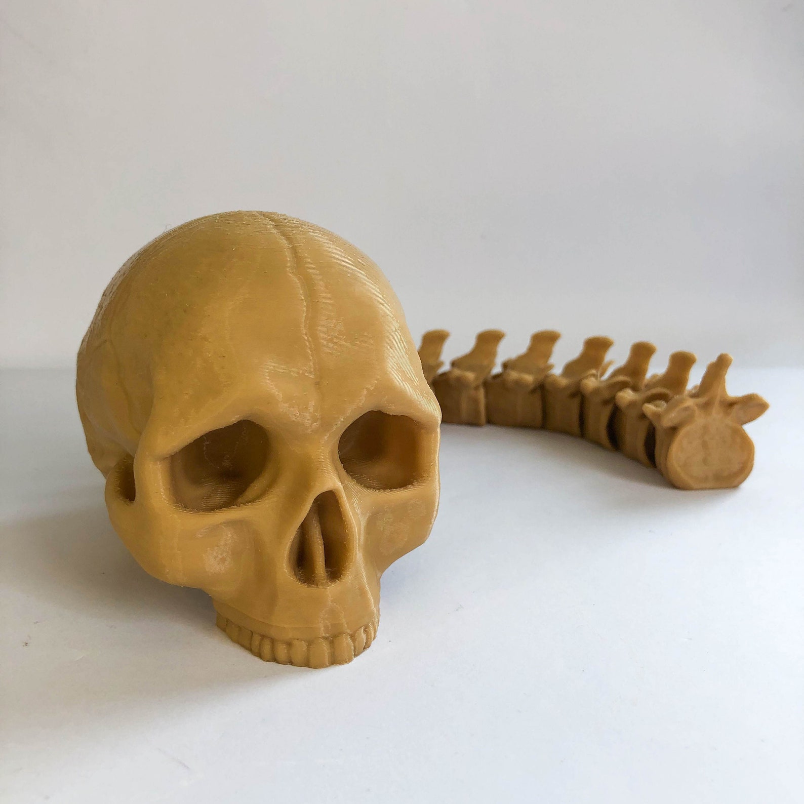 Predator Hunting Human Skull and Spine Trophy Flexible Toy - Highly ...