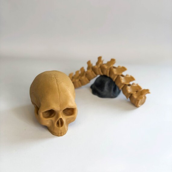 Predator Hunting Human Skull and Spine Trophy Flexible Toy | Etsy