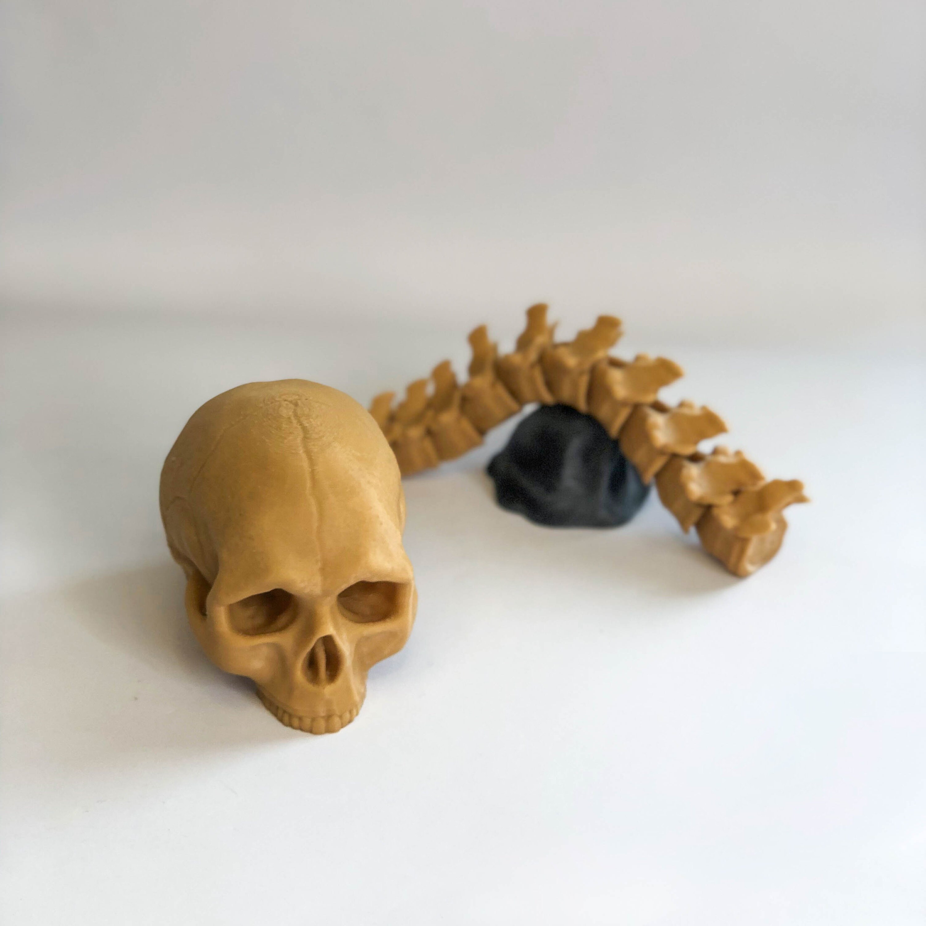 Predator Hunting Human Skull and Spine Trophy Flexible Toy - Highly ...