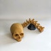 3D Printed Human Skull & Spine Trophy – Gothic Desktop Decor - Etsy