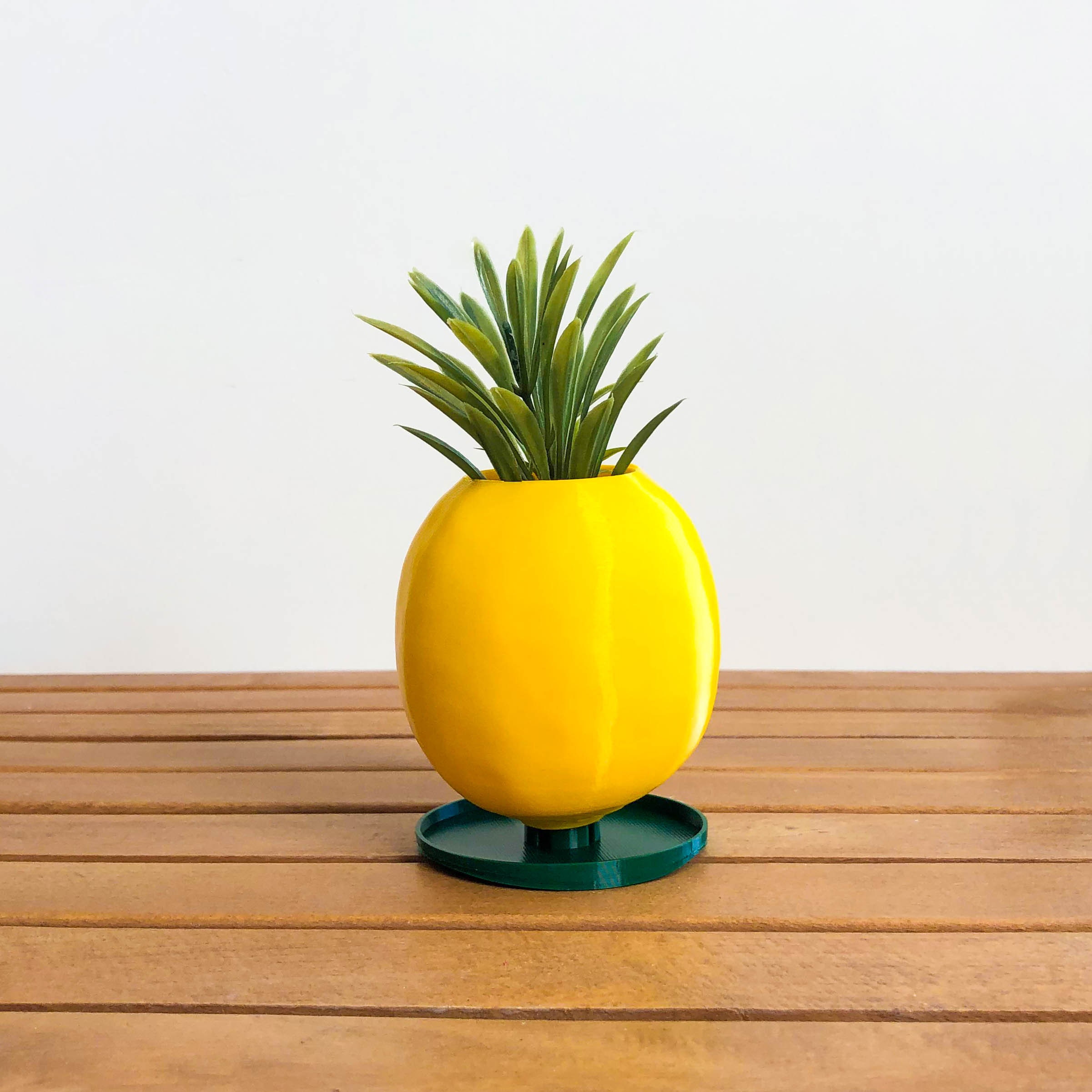 Lemon Shaped Yellow Unique Indoor Planter Lemon Succulent - Etsy
