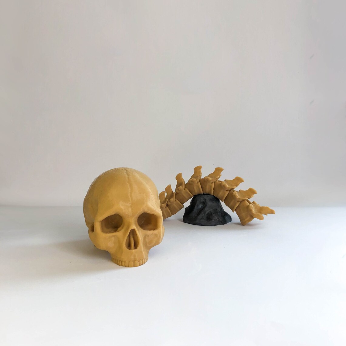 3D Printed Human Skull & Spine Trophy – Gothic Desktop Decor - Etsy