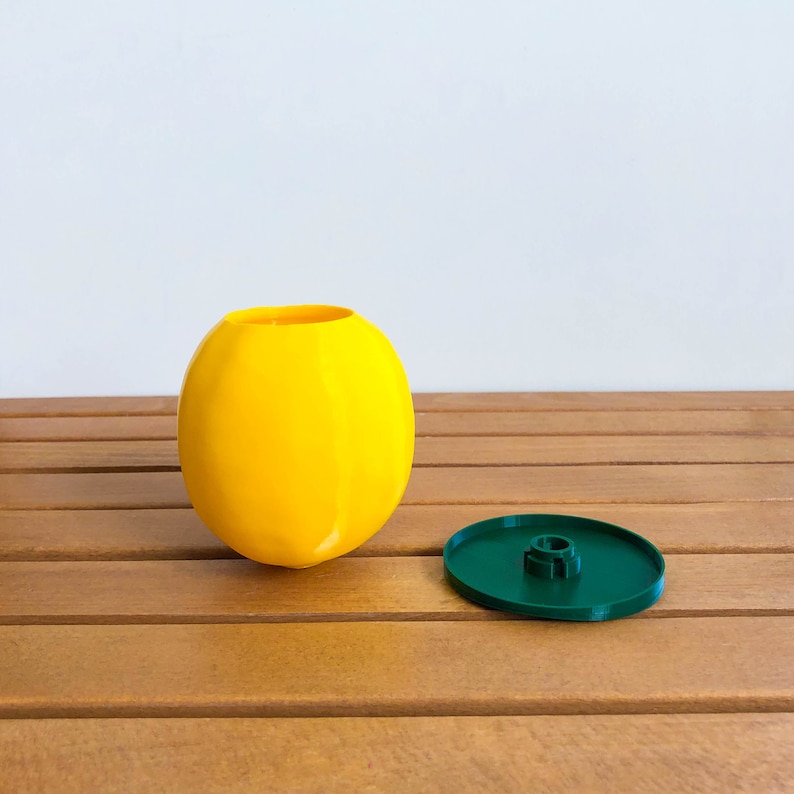 Lemon Shaped Yellow Unique Indoor Planter Lemon Succulent - Etsy