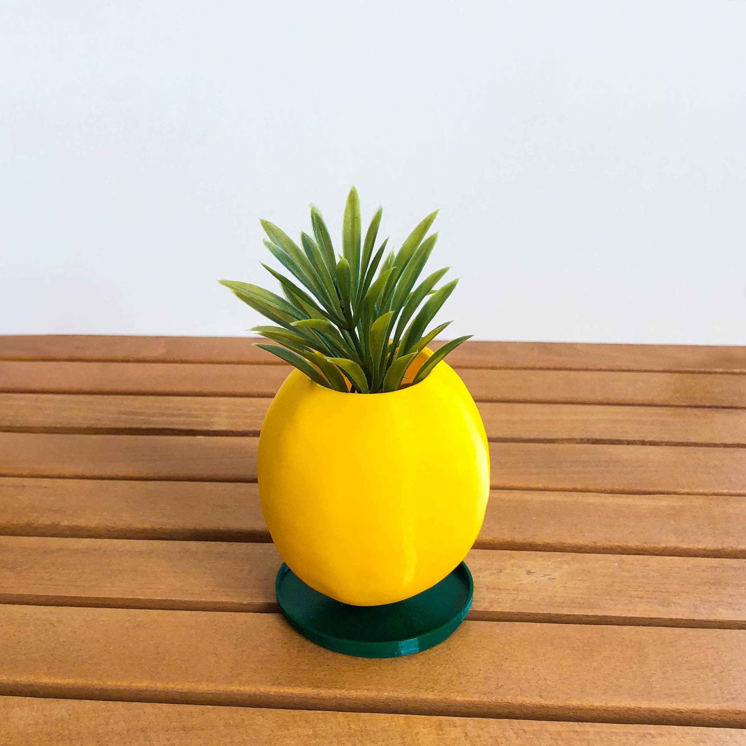 Lemon Shaped Yellow Unique Indoor Planter Lemon Succulent - Etsy