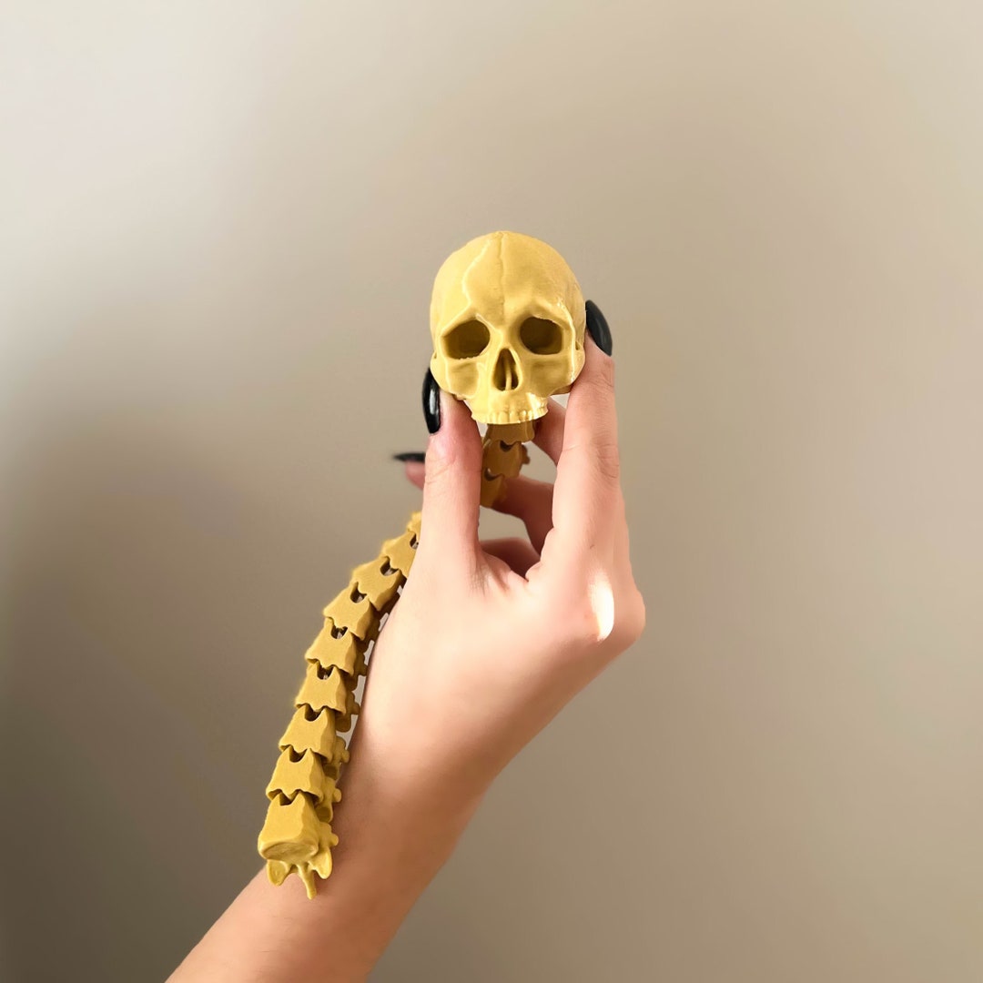 Tiny Skull and Spine Decorations - Predator Hunting Human Skull and ...