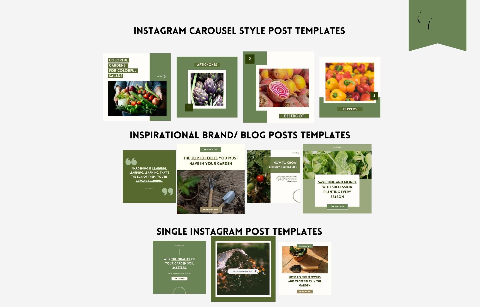 Green in Nature, Garden, Eco, Plants, Gardening Instagram Canva Social ...