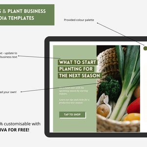 Green in Nature, Garden, Eco, Plants, Gardening Instagram Canva Social ...