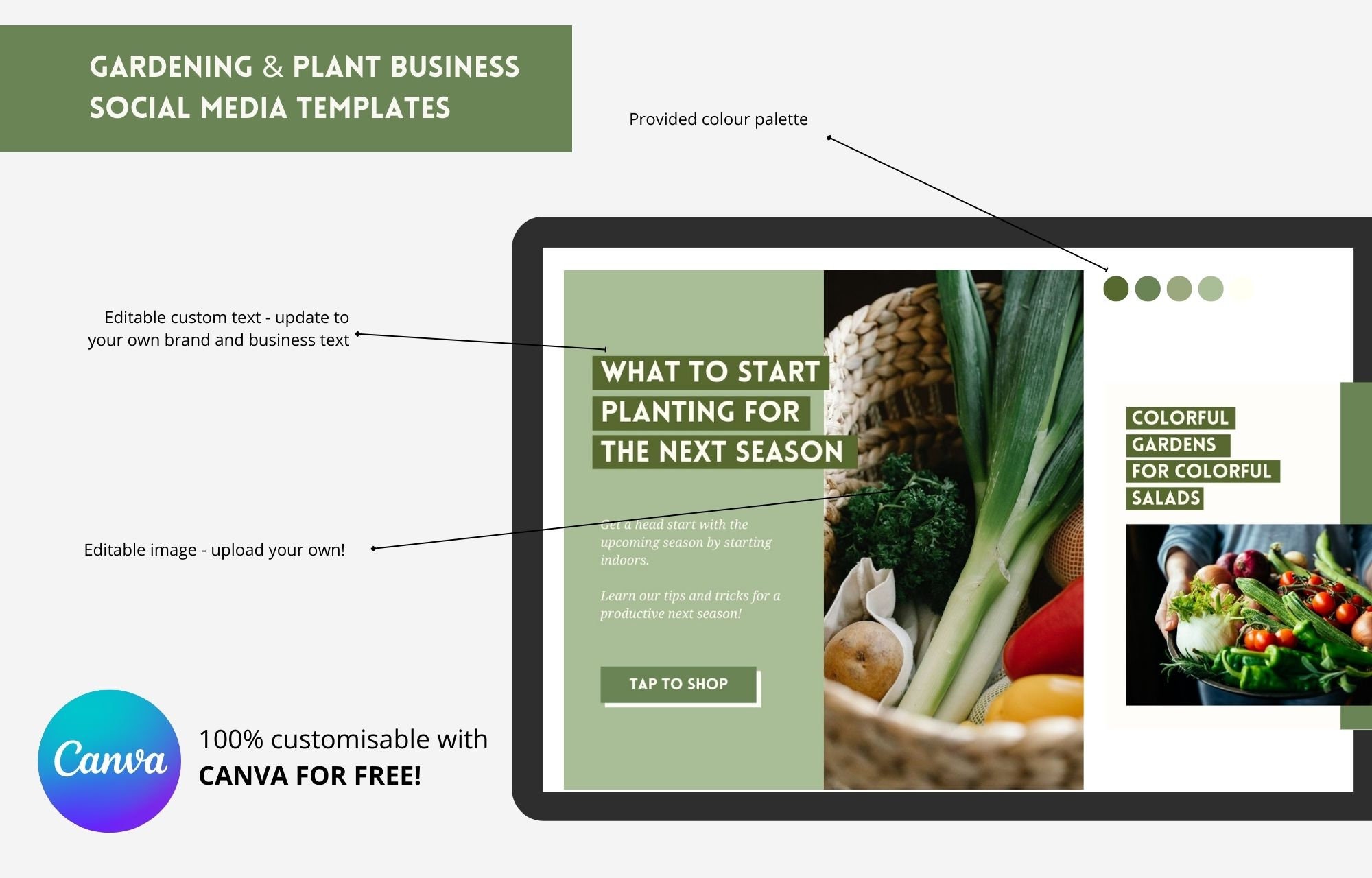 Green in Nature, Garden, Eco, Plants, Gardening Instagram Canva Social ...