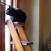 Cat Ladder 7 Step Cherry Hardwood Movable Cat Perch Always Somewhere ...