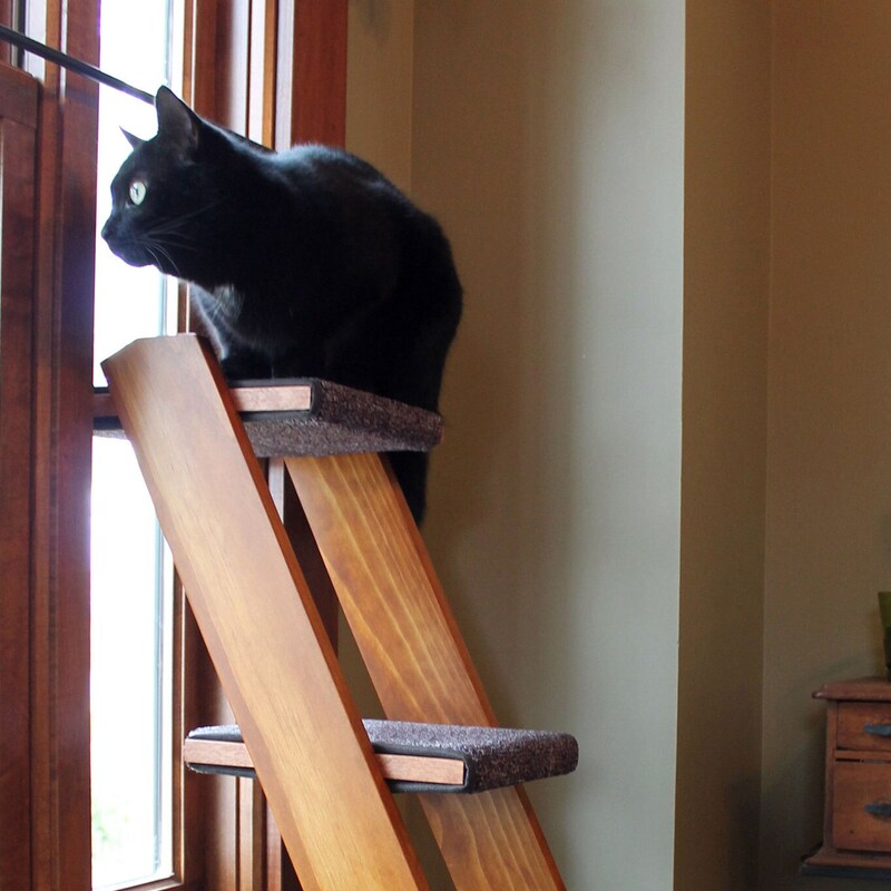 TheCatLadderStore - Etsy