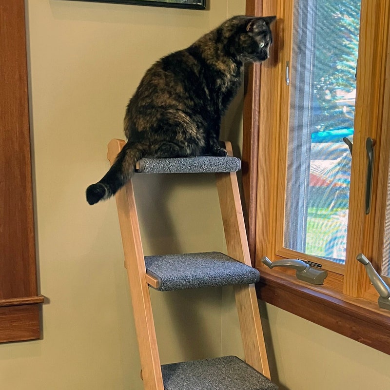 TheCatLadderStore - Etsy