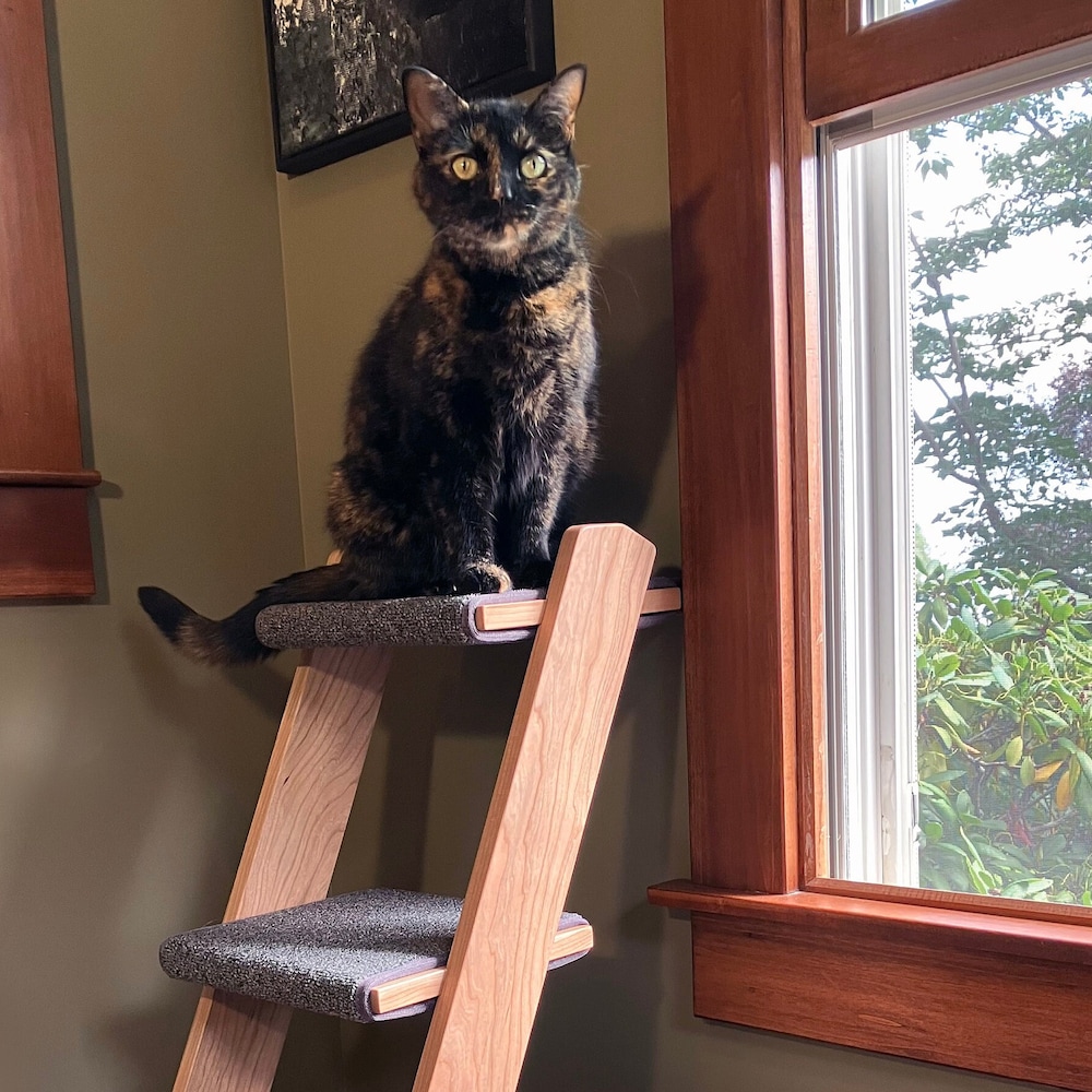 TheCatLadderStore - Etsy
