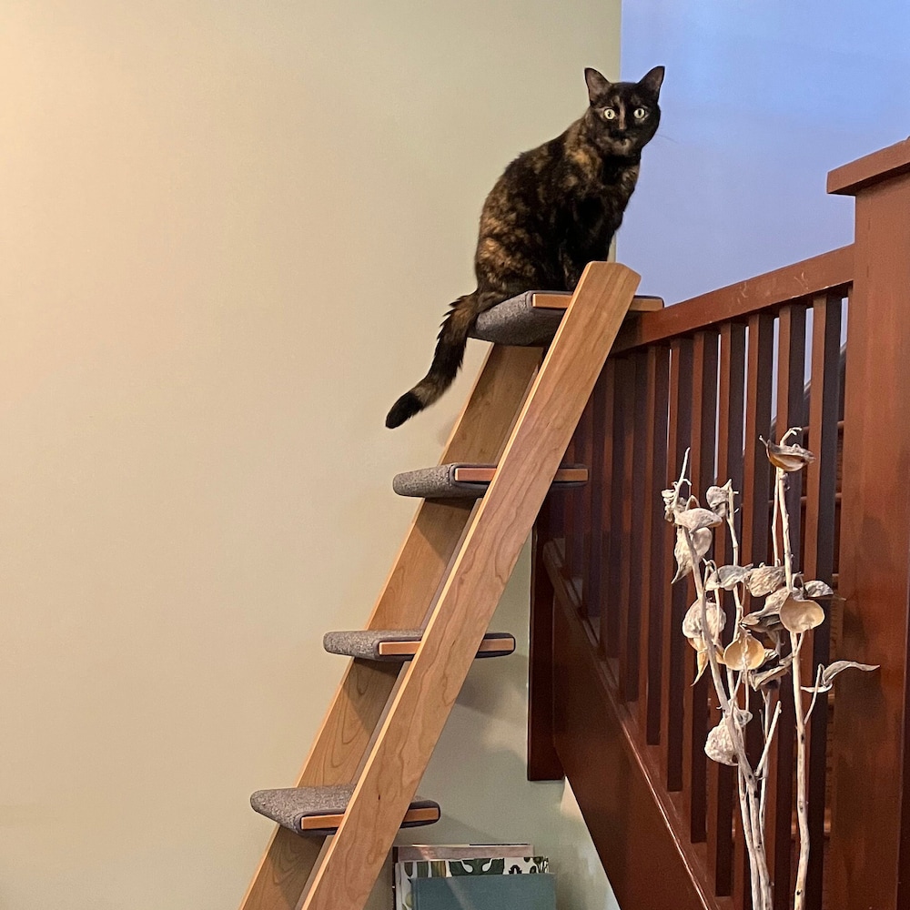 TheCatLadderStore - Etsy