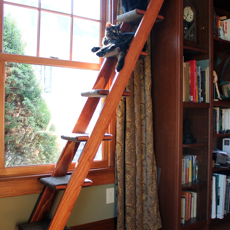 TheCatLadderStore - Etsy