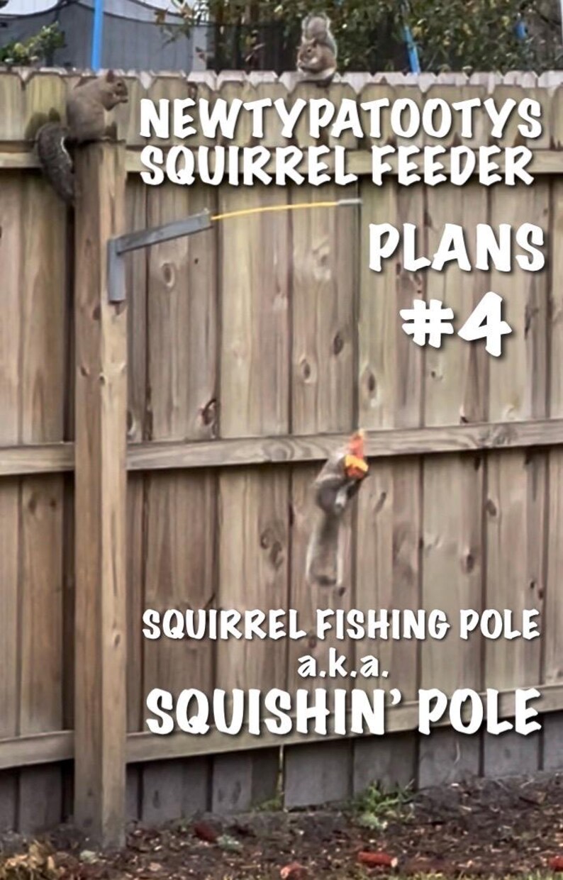 Newtypatootys Squirrel Feeder Plans #4 Squishin Pole - Etsy