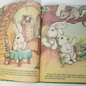 The Little Rabbit Who Wanted Red Wings by Carolyn Sherwin Bailey ...