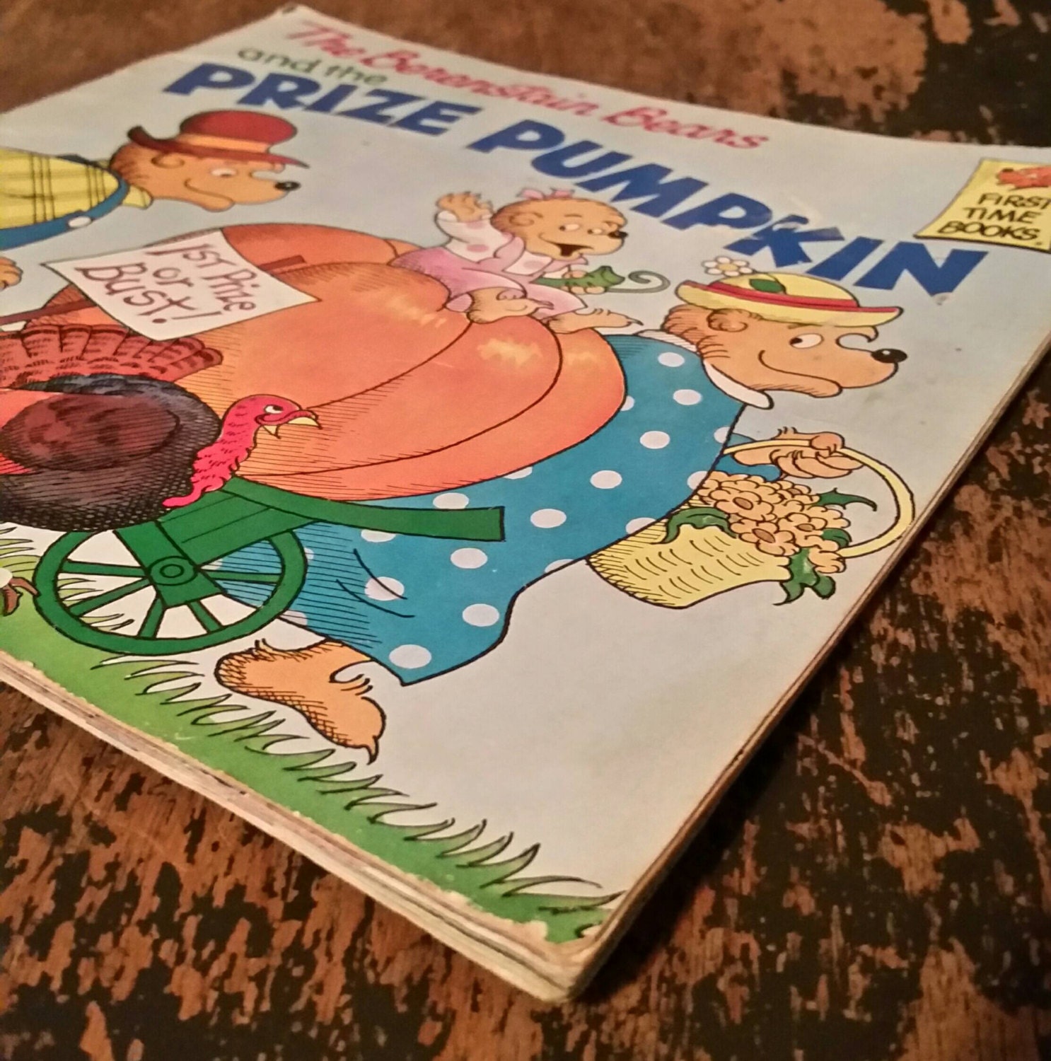 The Berenstain Bears and the Prize Pumpkin/childs Book/stan - Etsy