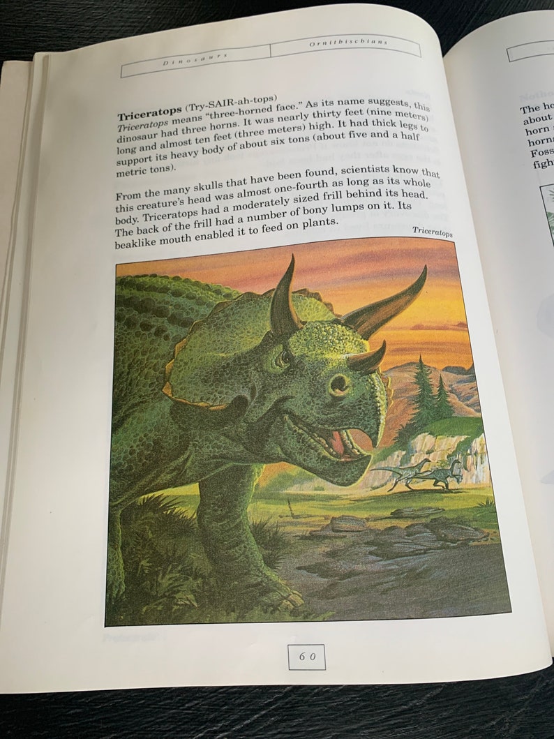 Dinosaurs and Other Prehistoric Animals by Robin Wright/ Troll - Etsy