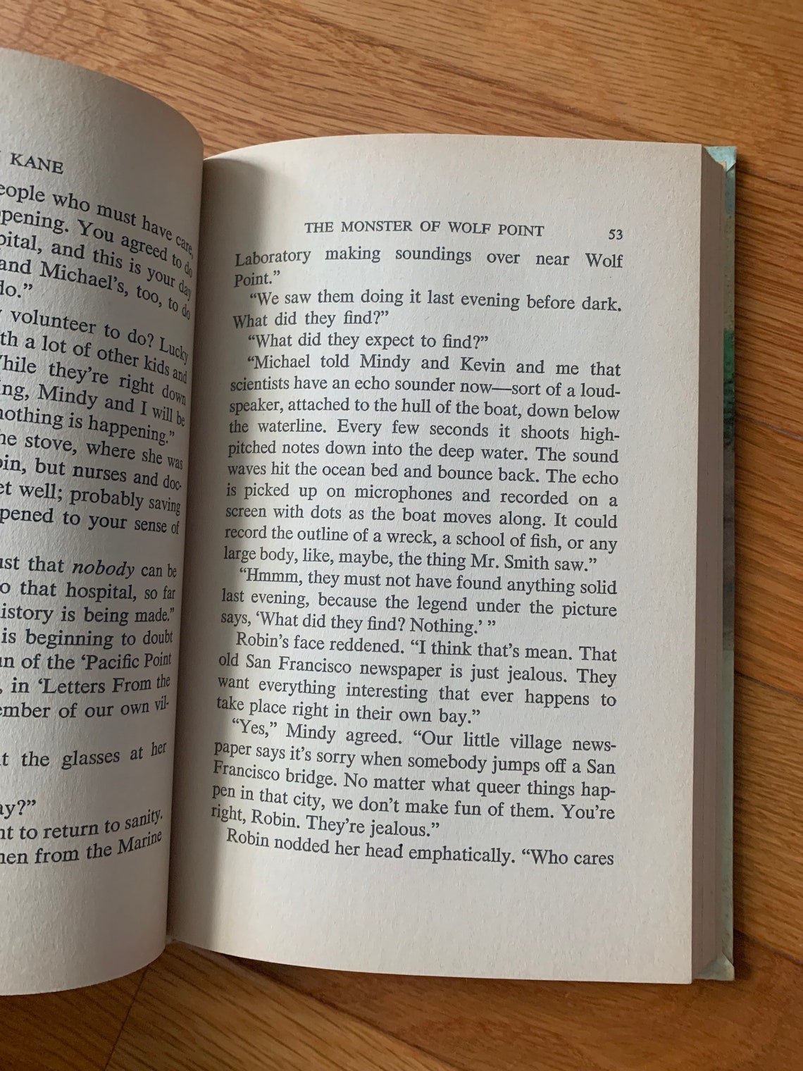 Robin Kane the Monster of Wolf Point/ Vintage 1971 Whitman | Etsy