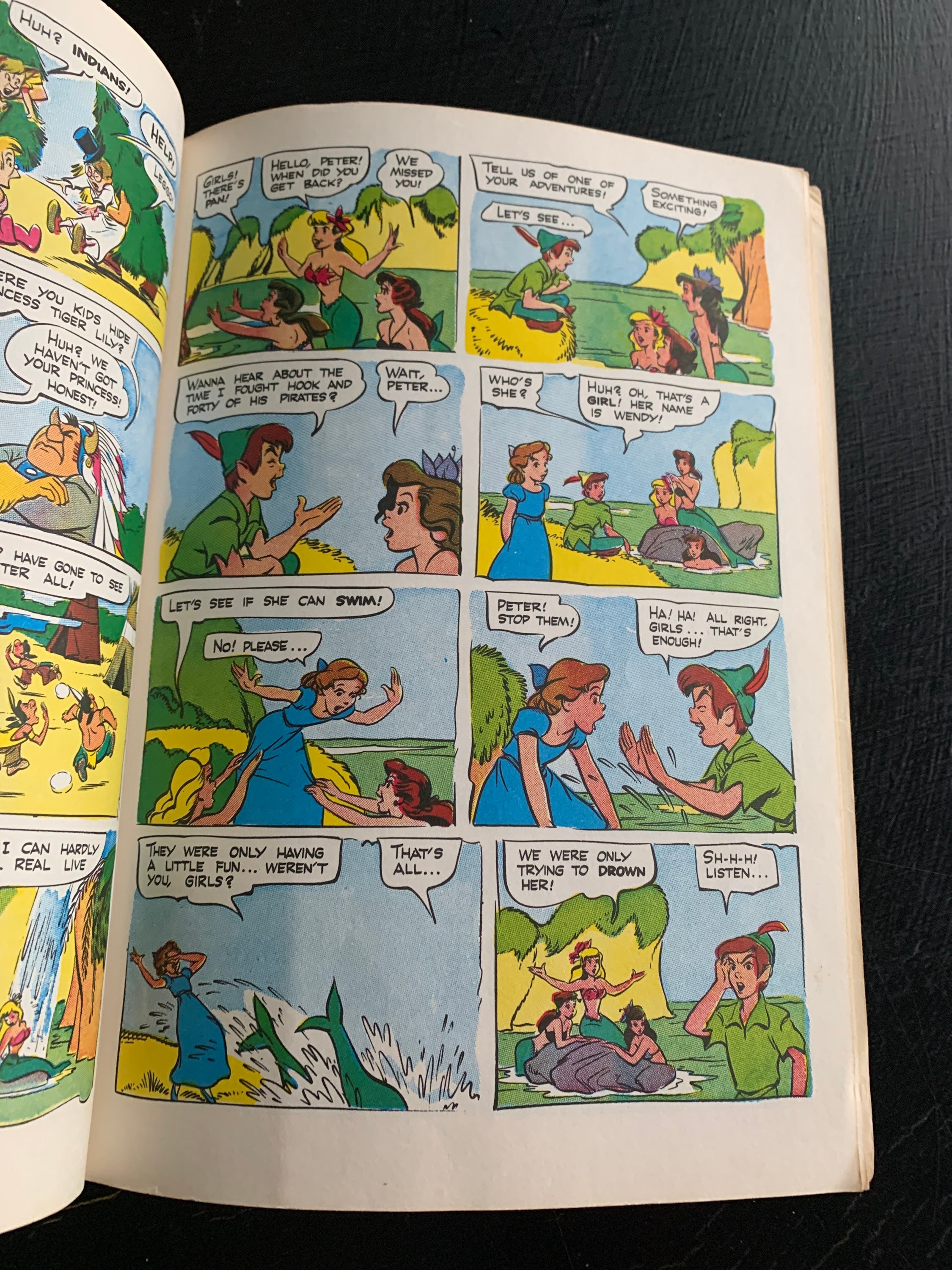 Peter Pan Graphic Novel