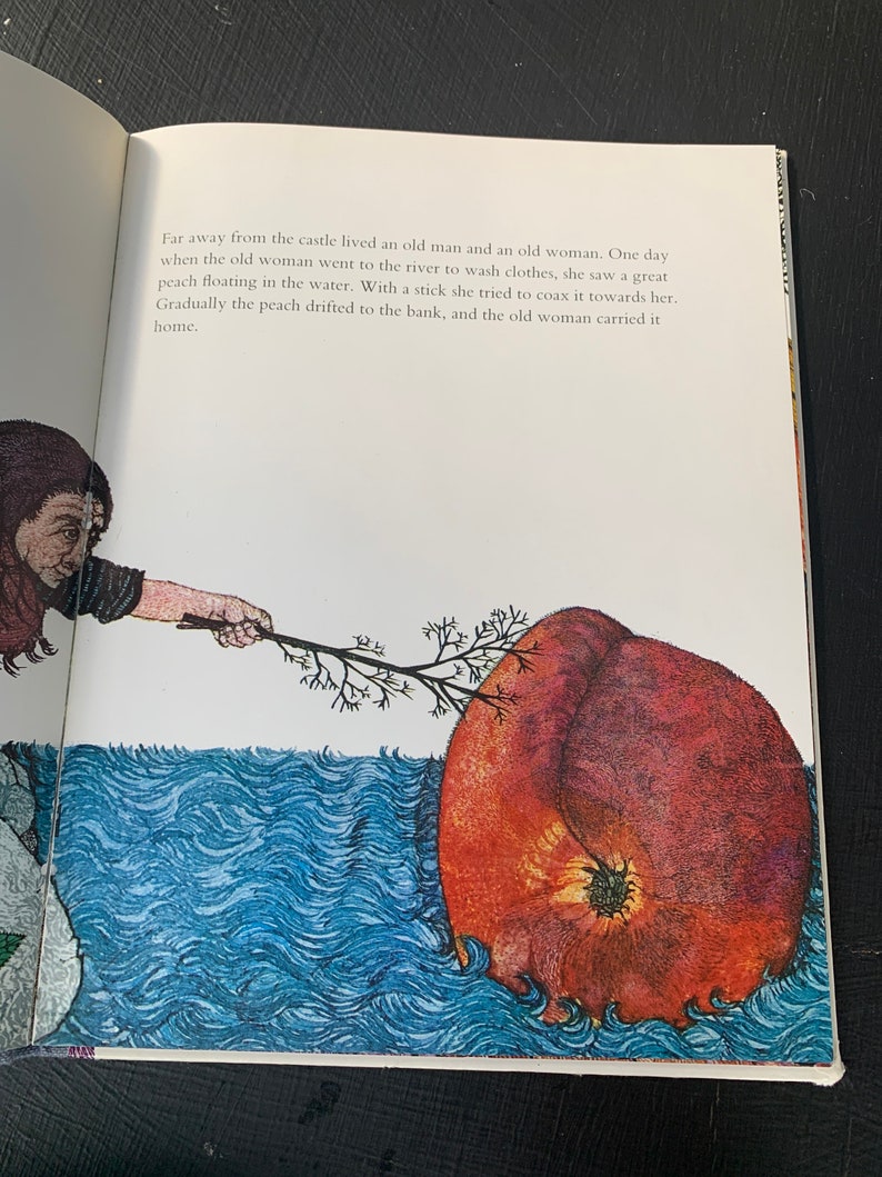 Peter and the Twelve-headed Dragon by Maryke Reesink/ Hardcover Book ...