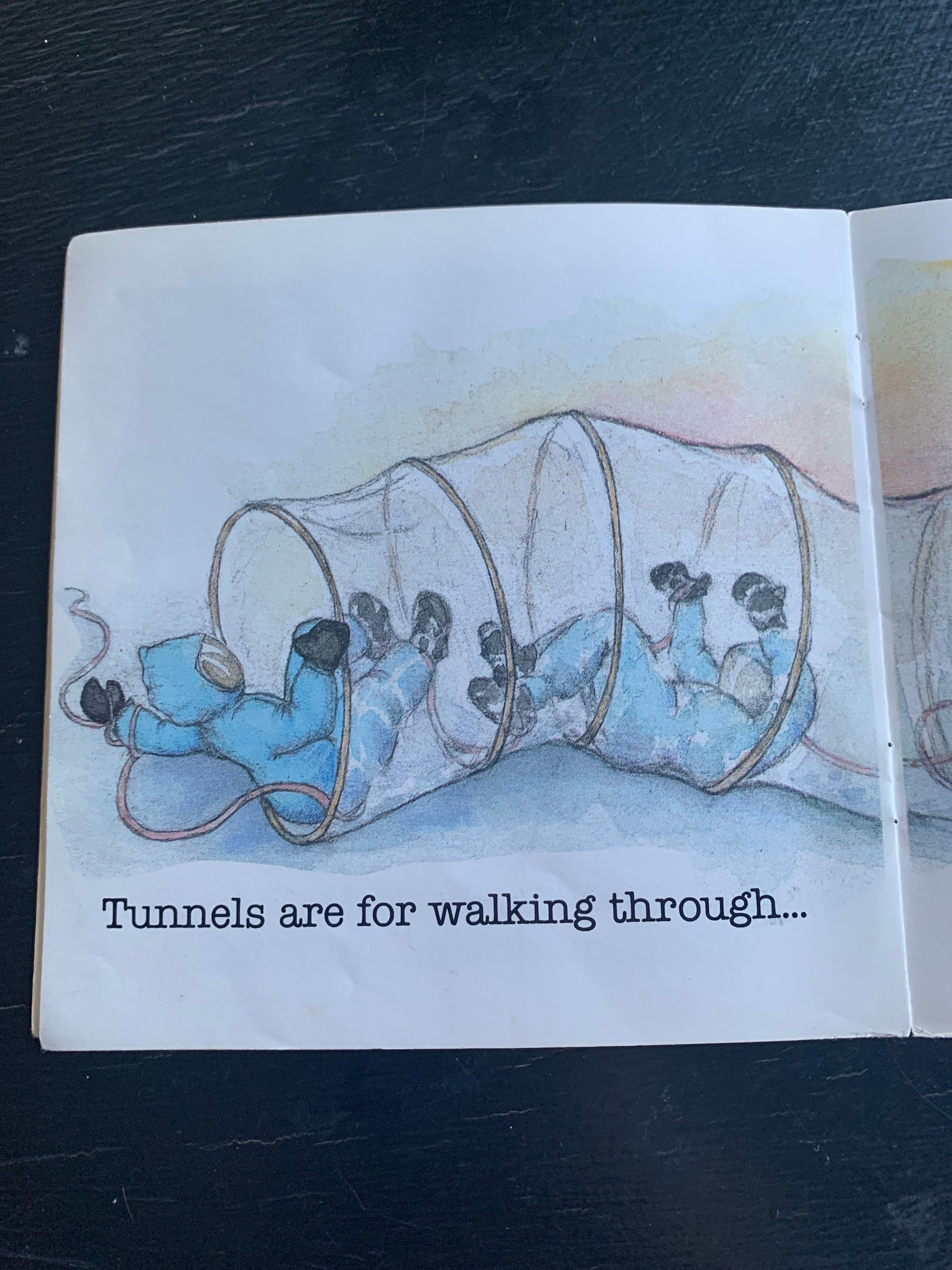 Learn With E.T. What is This For by Lawrence Weinberg/ Little - Etsy