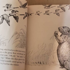 The Big Snow by Berta and Elmer Hader/vintage 1976 Children's Book ...