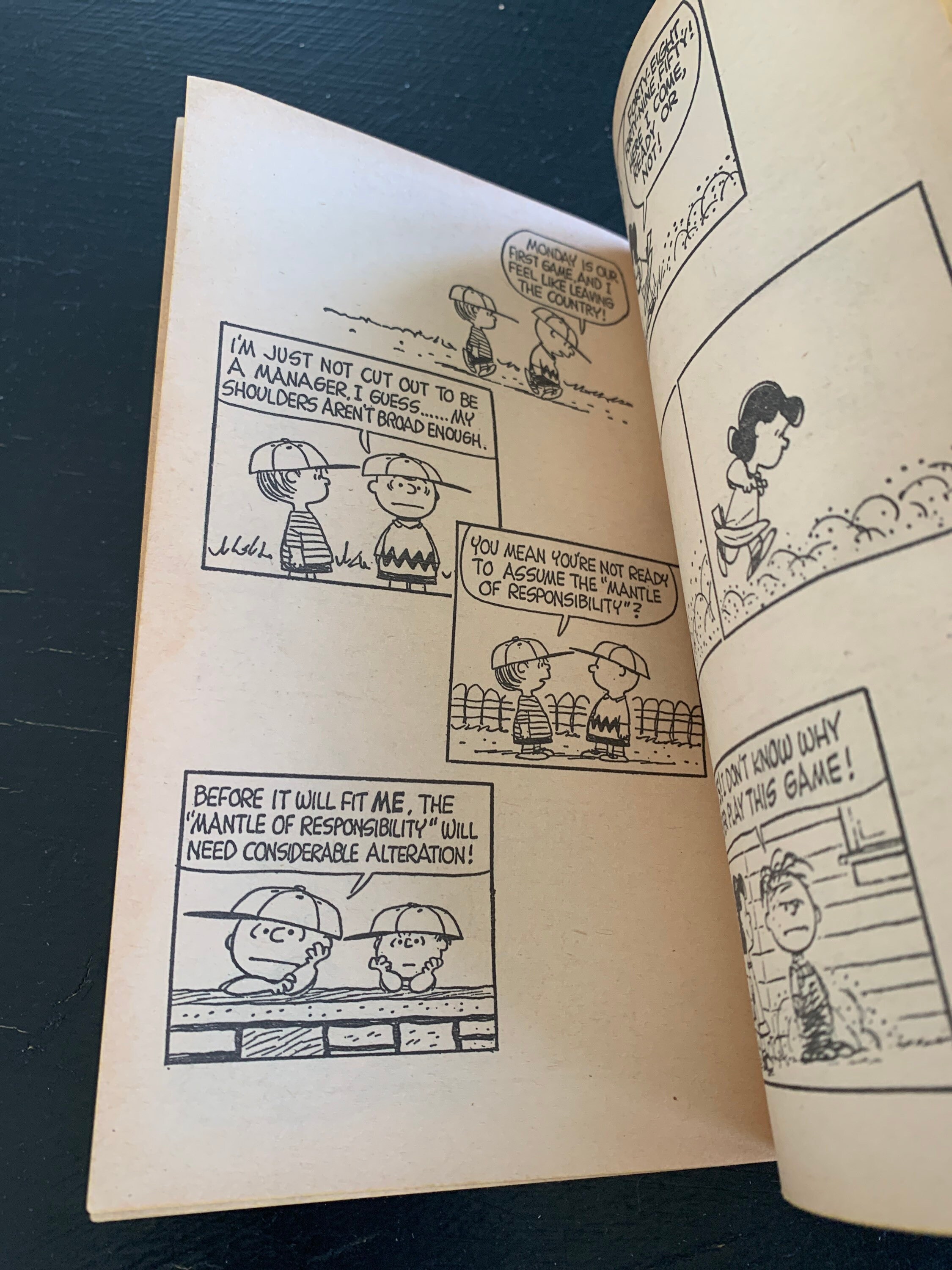 This is Your Life Charlie Brown Vol I. by Charles M. Schulz/ - Etsy