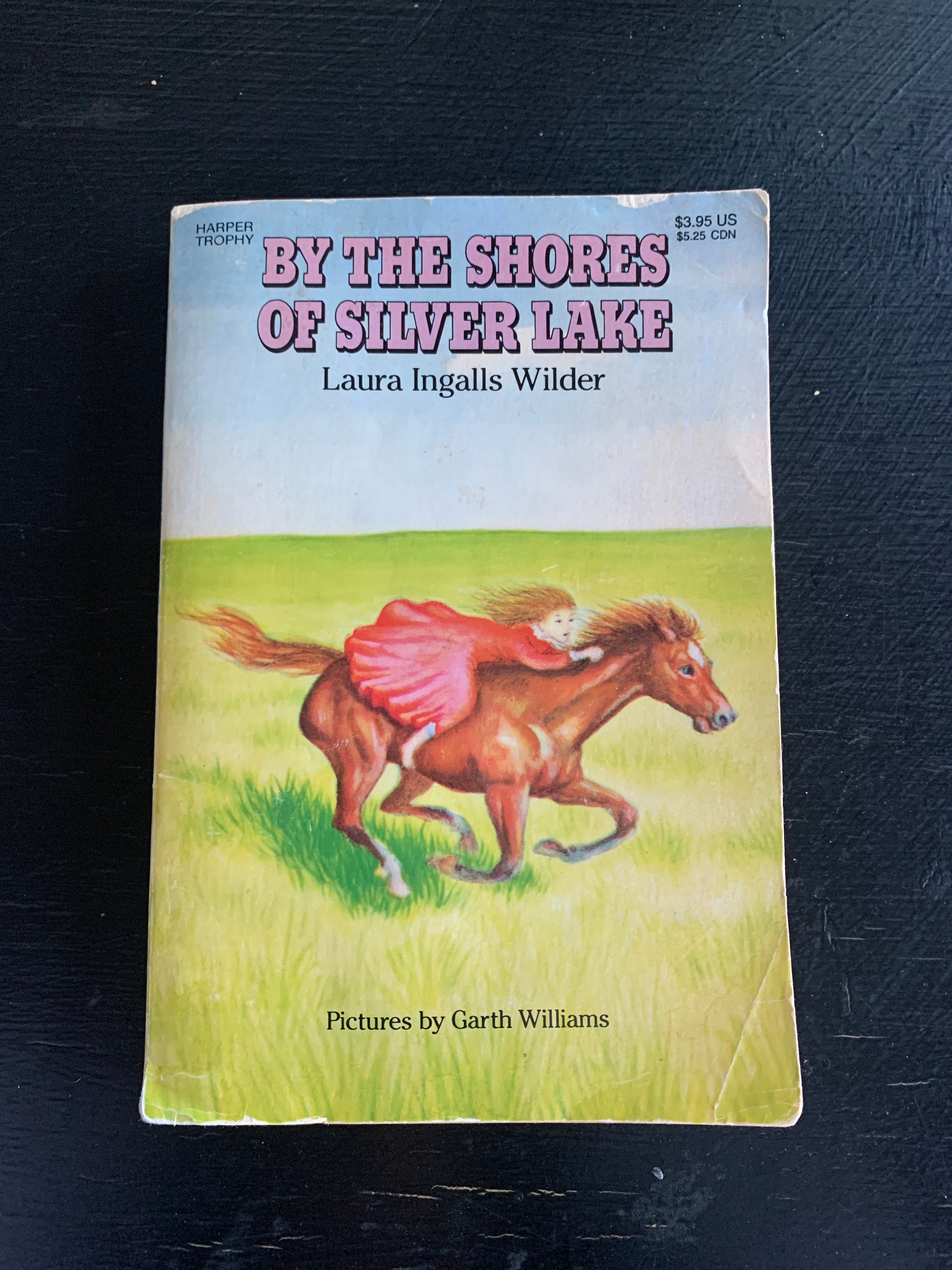 By The Shores Of Silver Lake