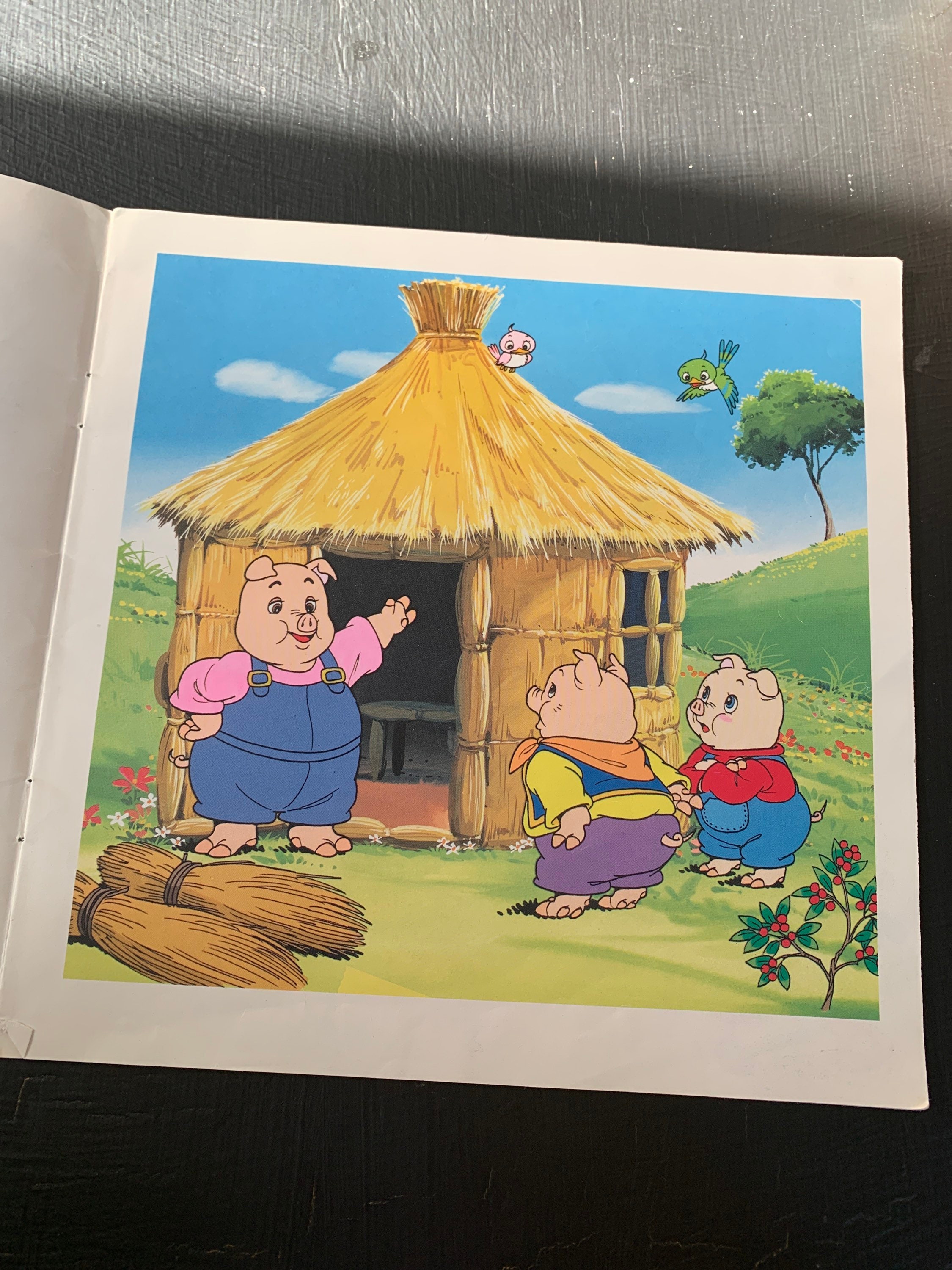 The Three Little Pigs/ Fun-to-read Fairy Tales/ Honey Bear - Etsy