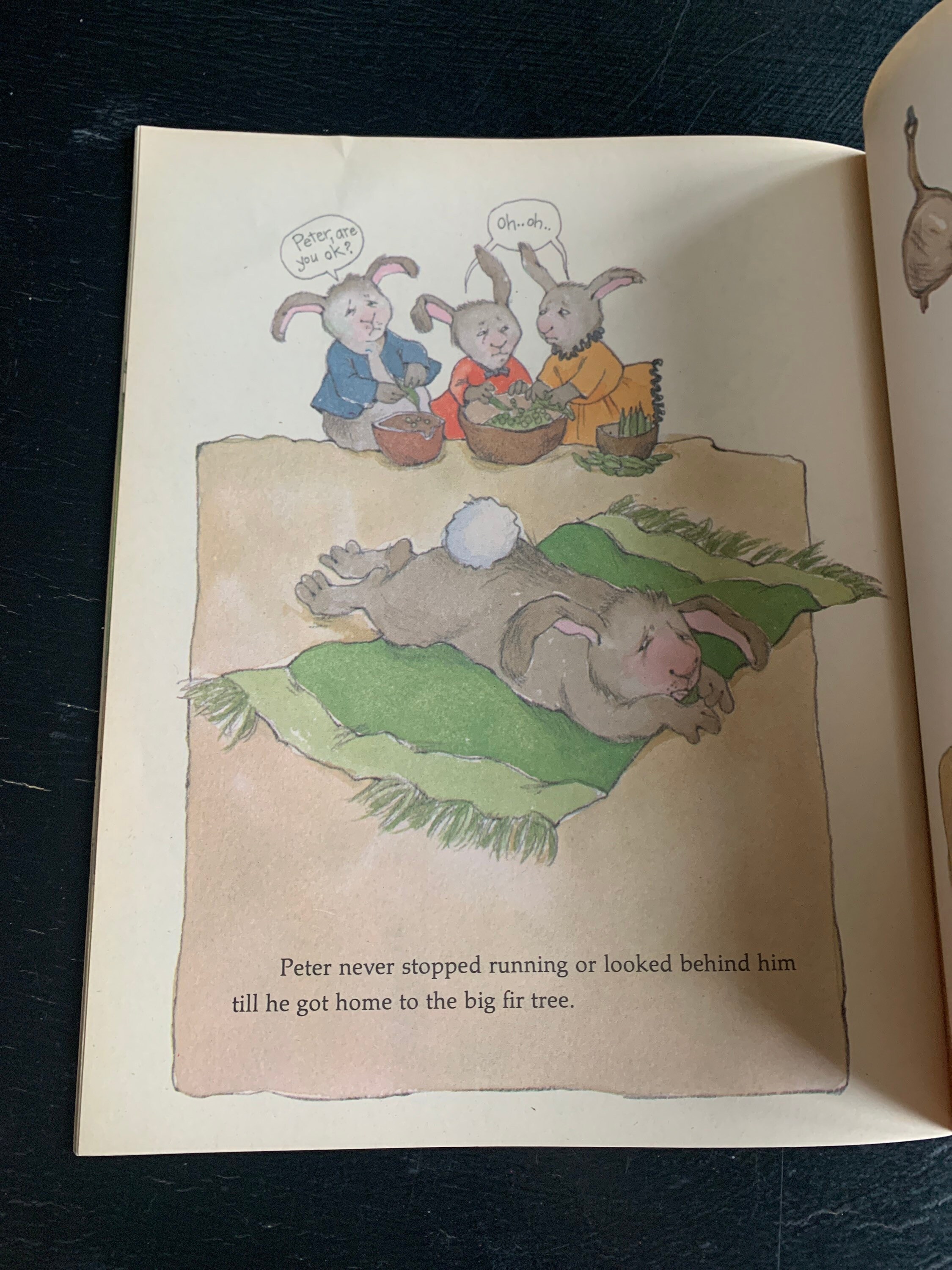 The Tale of Peter Rabbit by Beatrix Potter/ Troll Associates - Etsy