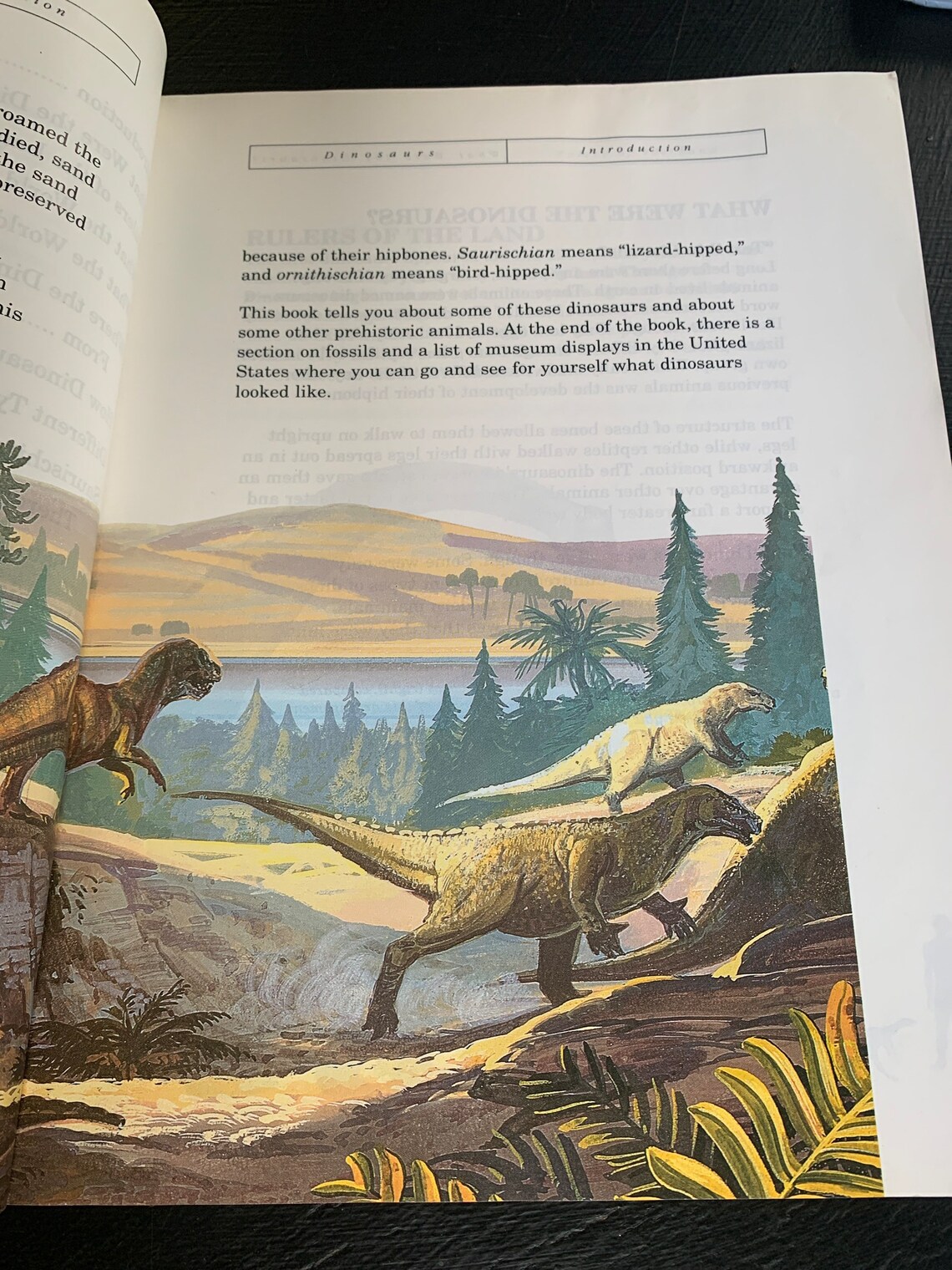 Dinosaurs and Other Prehistoric Animals by Robin Wright/ Troll ...
