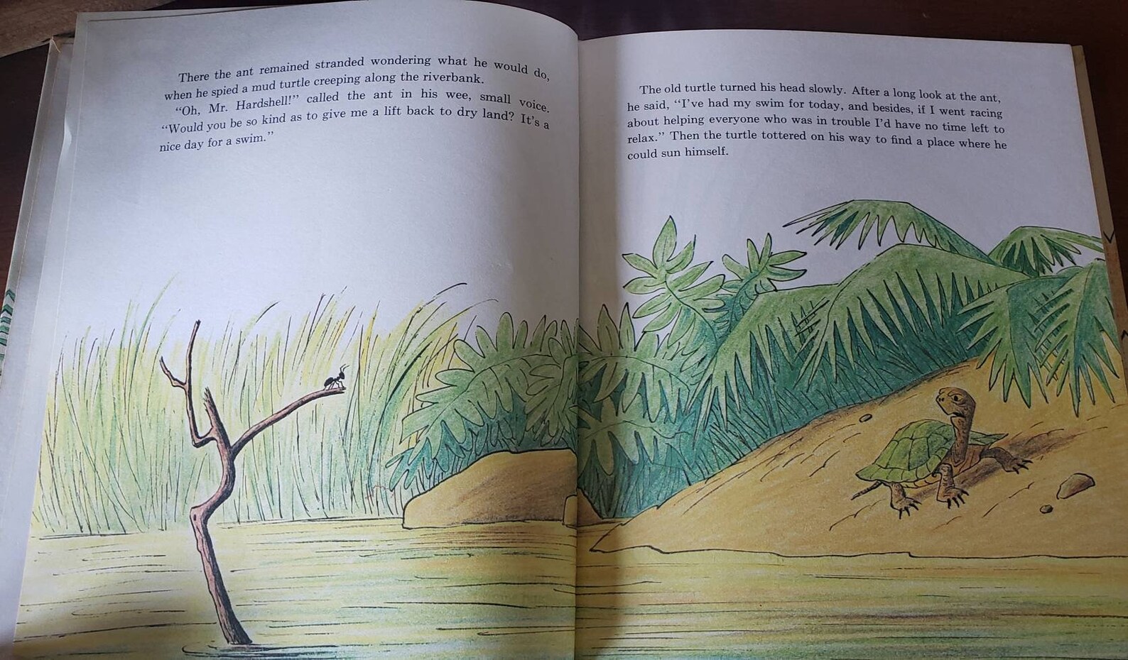 The Ant and the Elephant Written and Illustrated by Bill | Etsy